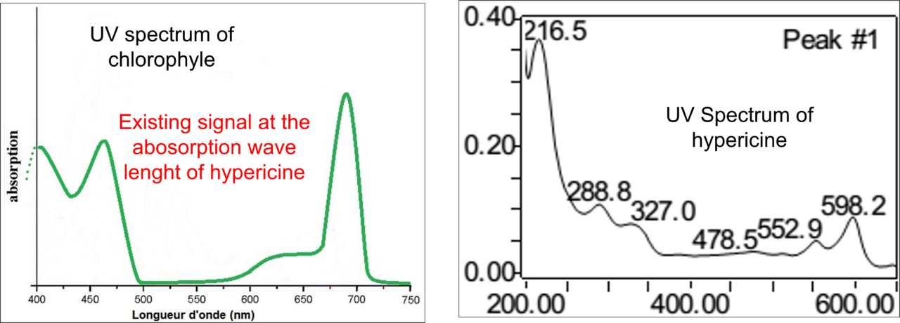 Hypericum perforatum L. – Raccourcis à éviter pour la caractérisation ...